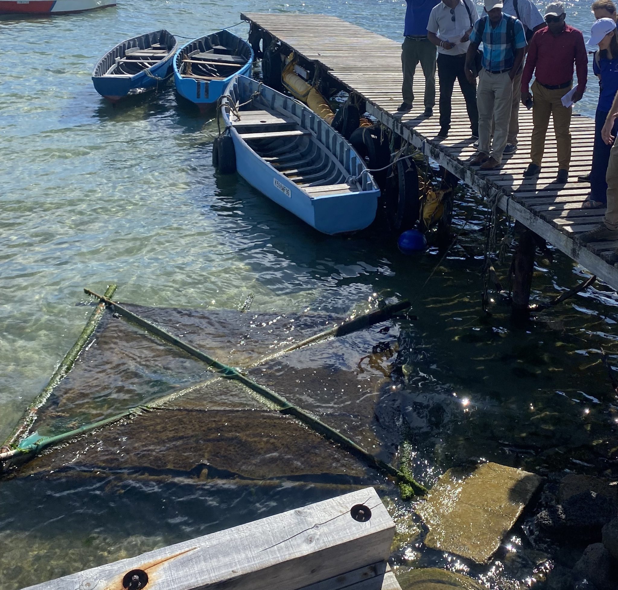 Resilient Island Endeavour (RISE) Project – EPCO